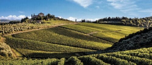 Un dimanche midi dans le Chianti à la Tenuta Perano
